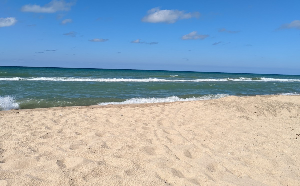 The Midwest Beach, Indiana Dunes - Blue Widow Chronicles