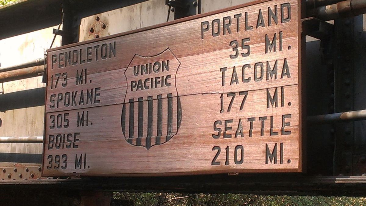 Managing The Widow Brain - Blue Widow Chronicles